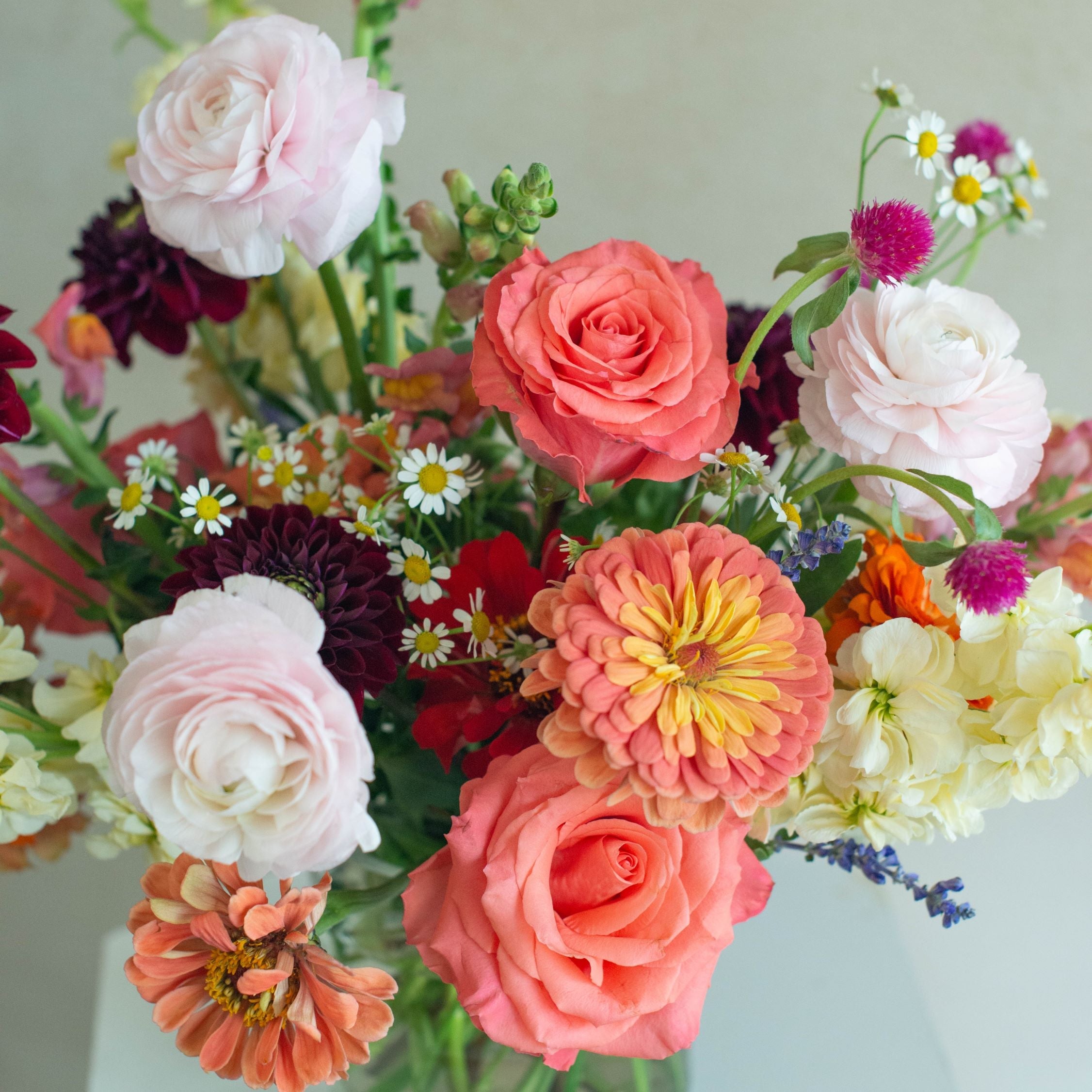 Seasonal Flowers – Everwild Blooms